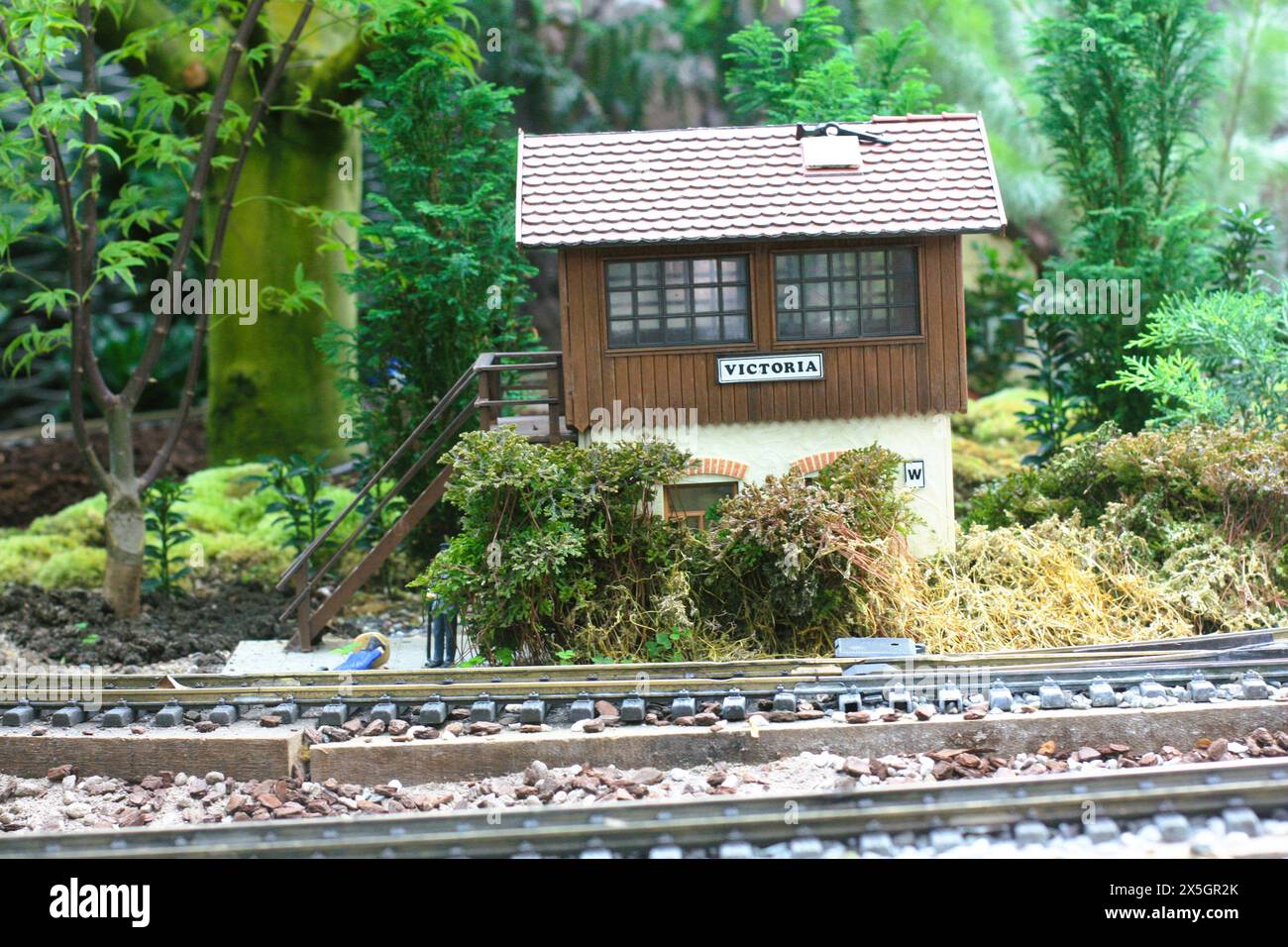 Green miniature trees in hi-res stock photography and images - Alamy