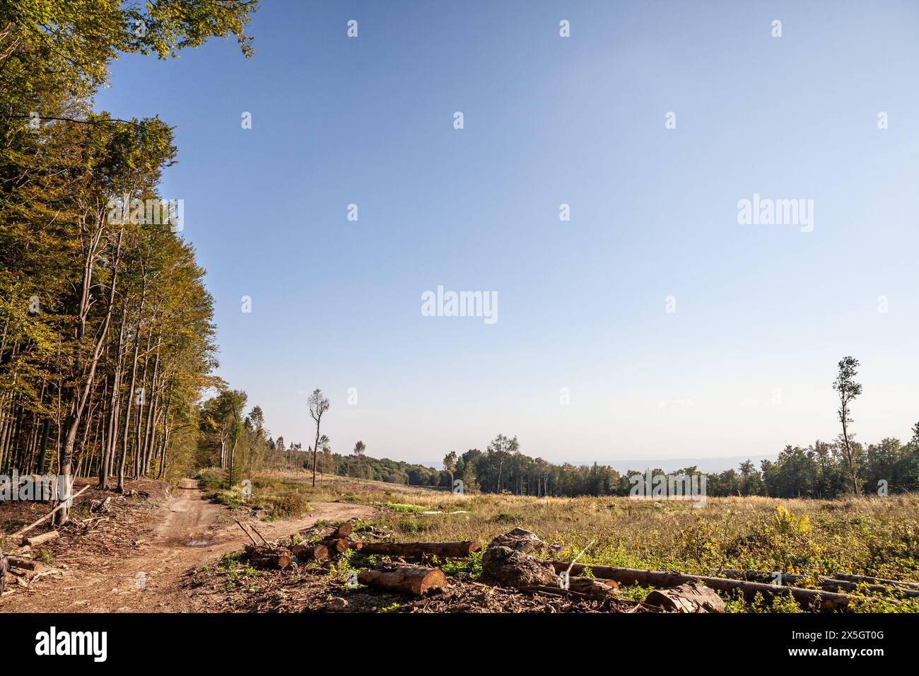 Picture of a logging camp in Papuk mountains in Croatia. Papuk Nature ...