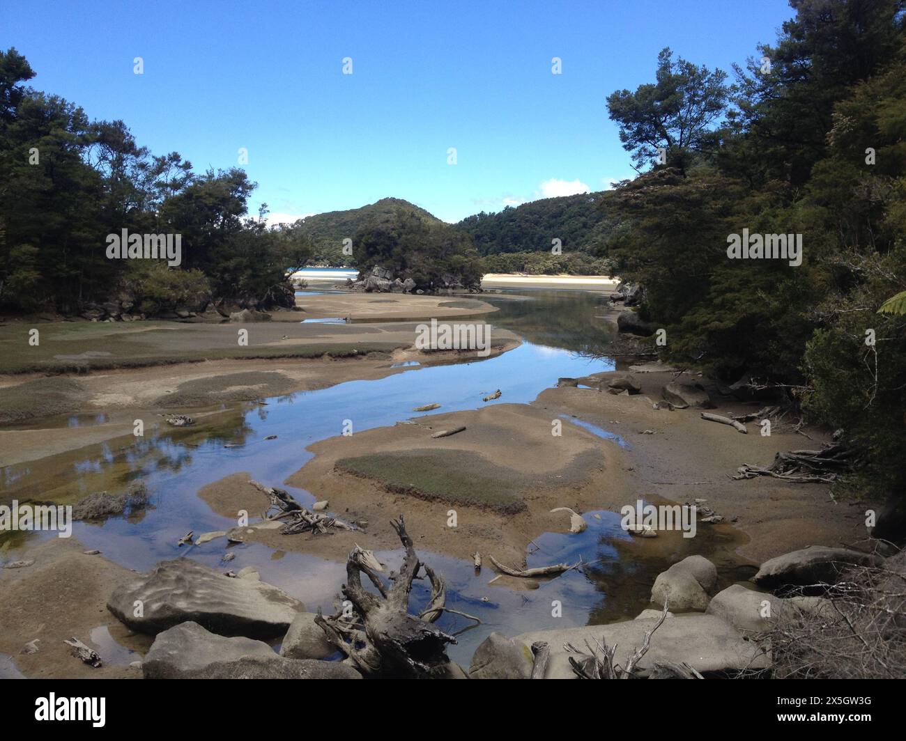 Abel Tasman National Park, Nelson Tasman, South Island, New Zealand, Awaroa Beach Stock Photo ...