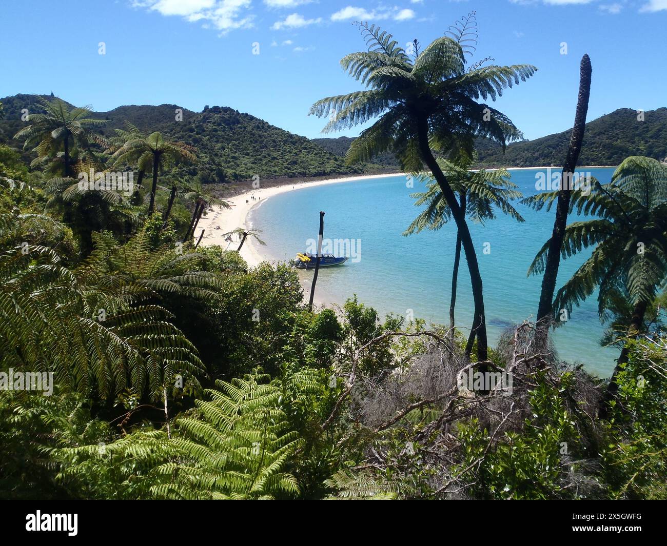 Abel Tasman National Park, Nelson Tasman, South Island, New Zealand ...