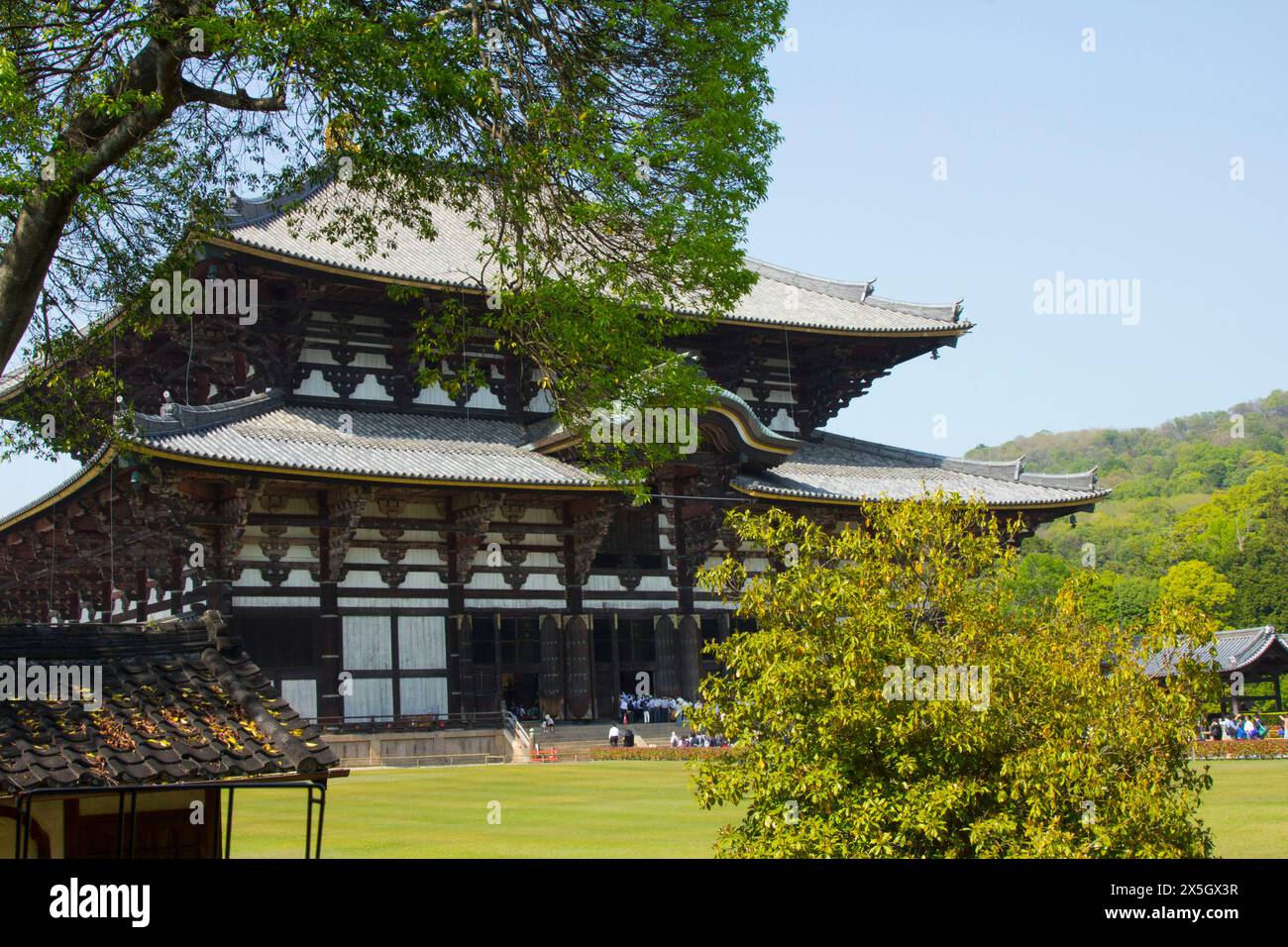 Scenes from Nara Japan, including temples and deer Stock Photo - Alamy