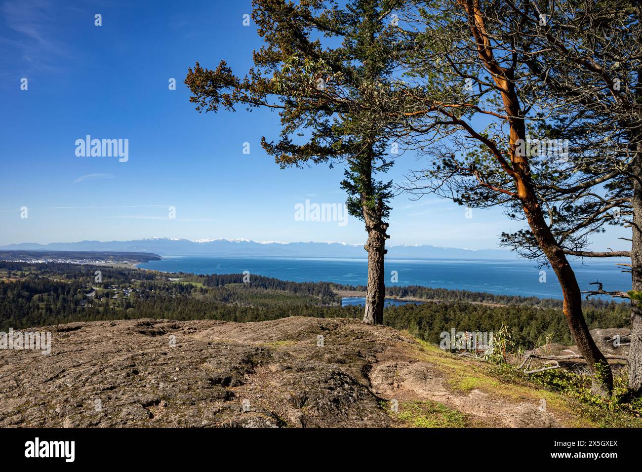 Whidbey island naval air base hi-res stock photography and images - Alamy