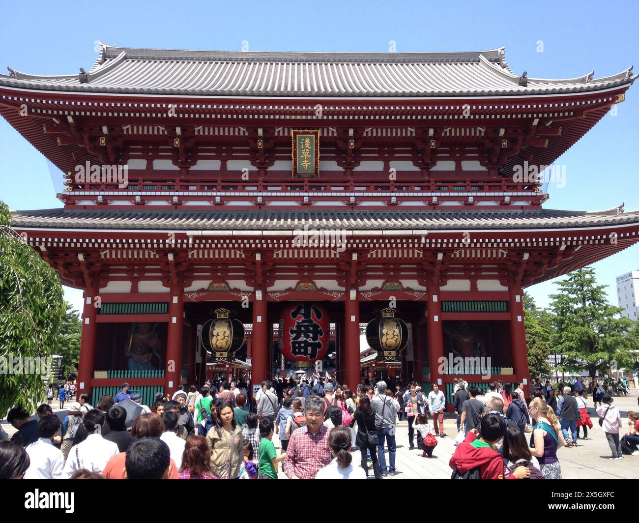 Tokyo cherry geisha hi-res stock photography and images - Alamy