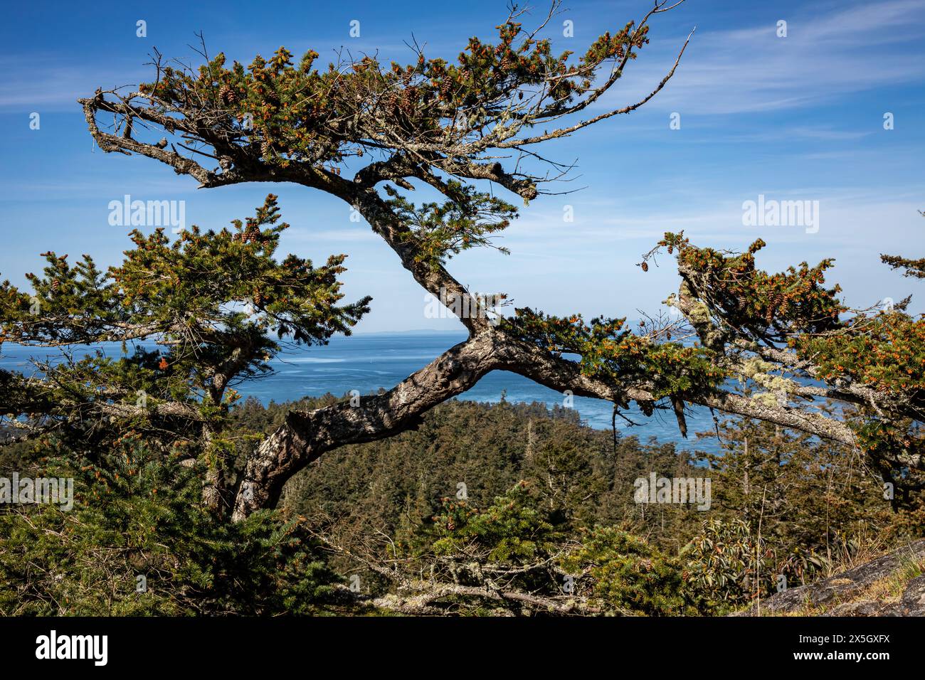 WA25211-00...WASHINGTON - View over the Strait of Juan de Fuca and ...