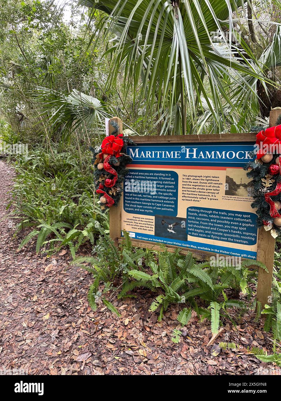 Nature trail sign at St. Augustine Lighthouse nature trail for Hammock ...