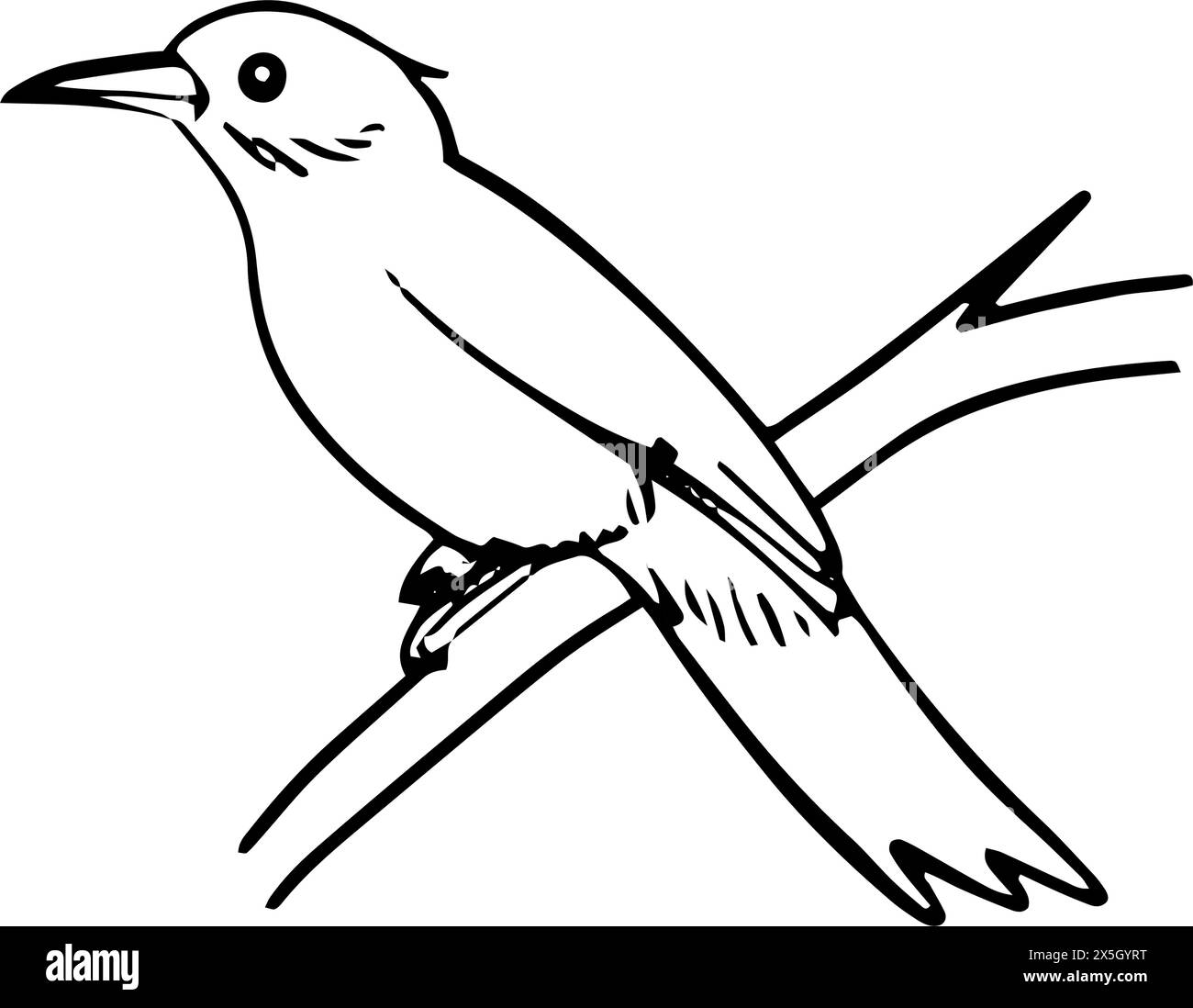 Minimalist Bird Outline Illustration vector Stock Vector Image & Art ...
