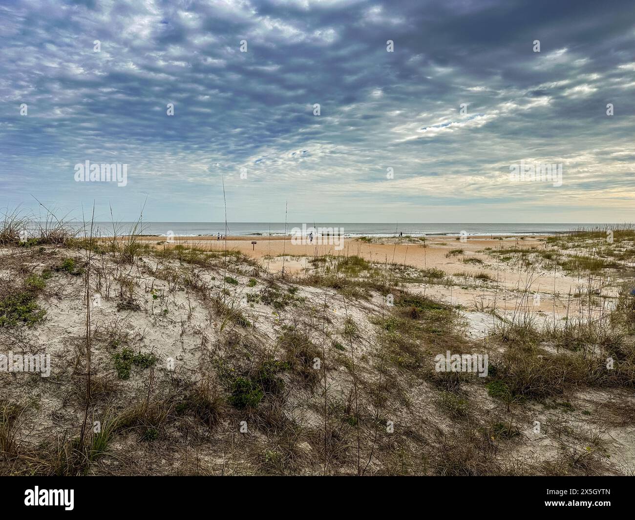 Sweeping beach landscape on a cloudy day: Anastasia State Park Beach ...
