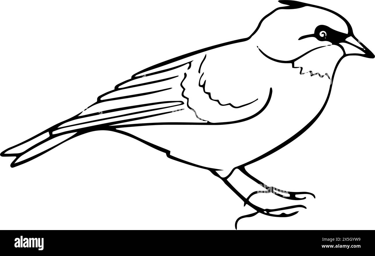 Minimalist Bird Outline Illustration vector Stock Vector Image & Art ...
