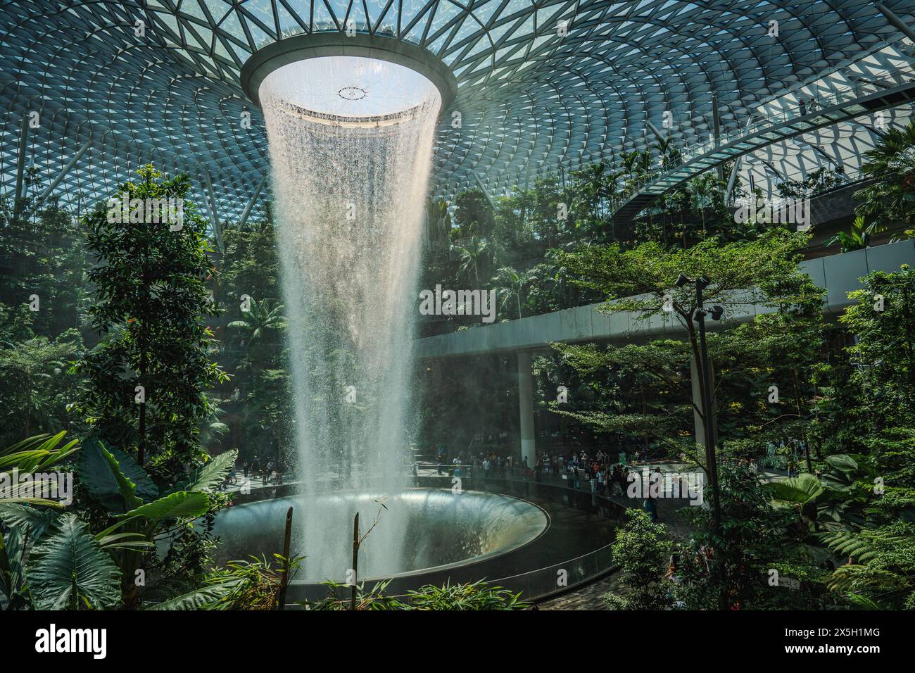 A breathtaking indoor waterfall cascades dramatically in a lush, green ...