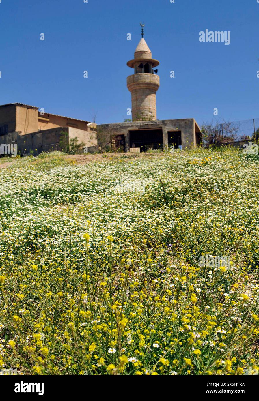 The Midron Yaffo Park in Jaffa, Israel Stock Photo - Alamy