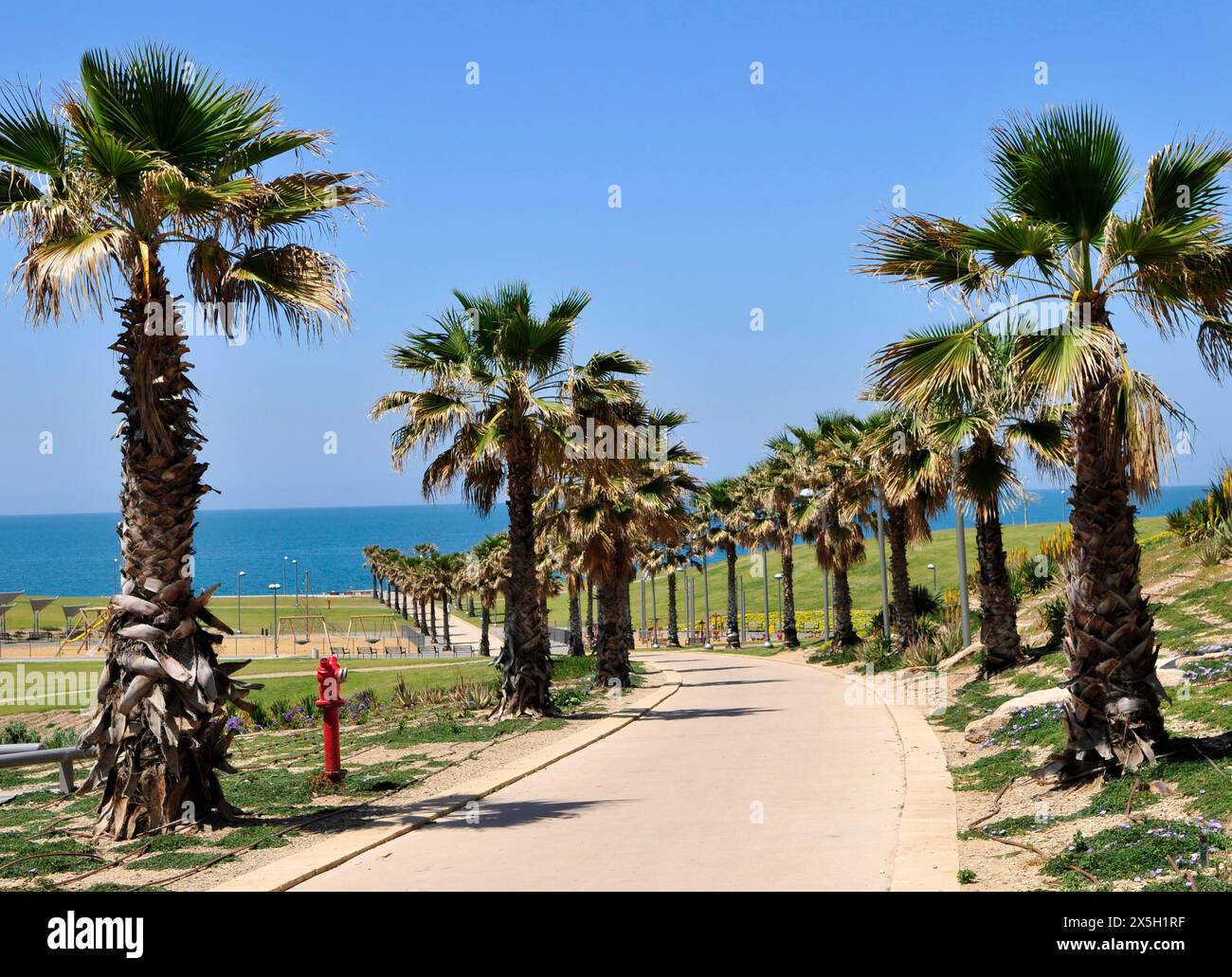 Midron Yaffo Park in Jaffa, Israel Stock Photo - Alamy