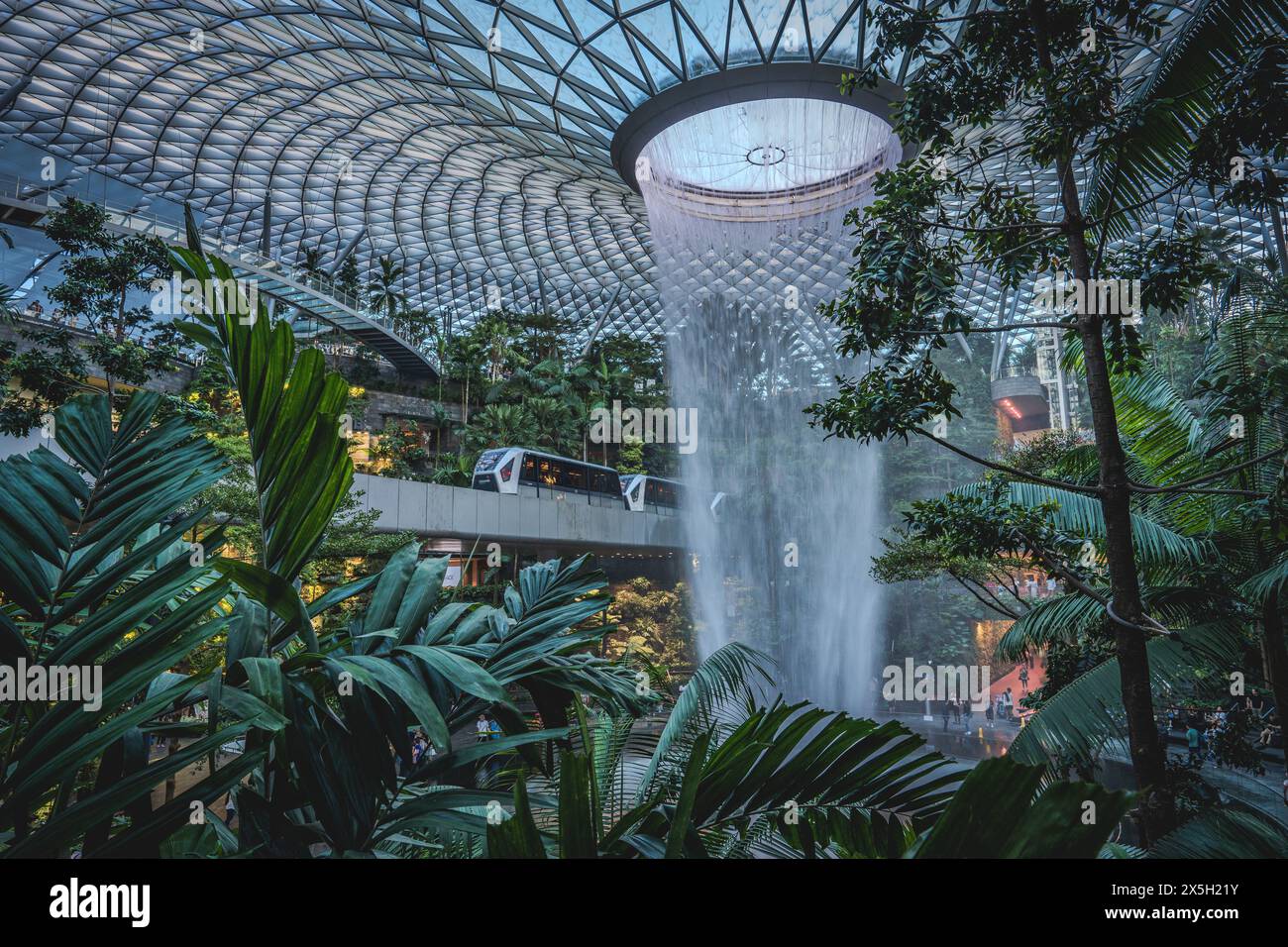 Captivating view of a magnificent indoor waterfall surrounded by lush ...