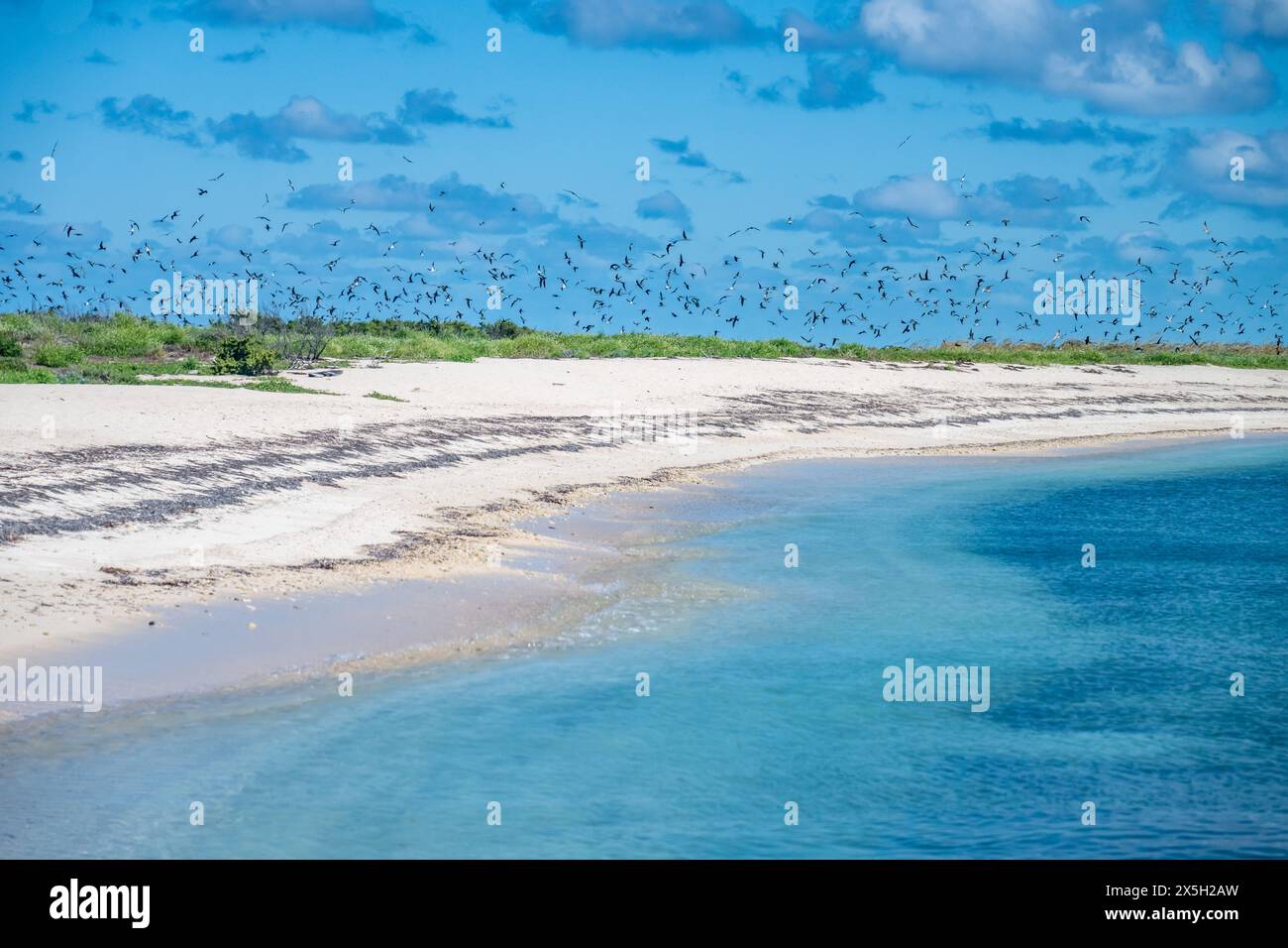 Bush Key with land bridge to Fort Jefferson on Dry Tortugas National ...