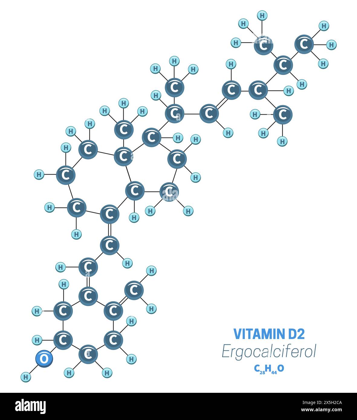 Ergocalciferol D2 Vitamin Atoms and Molecules Stock Vector Image & Art ...