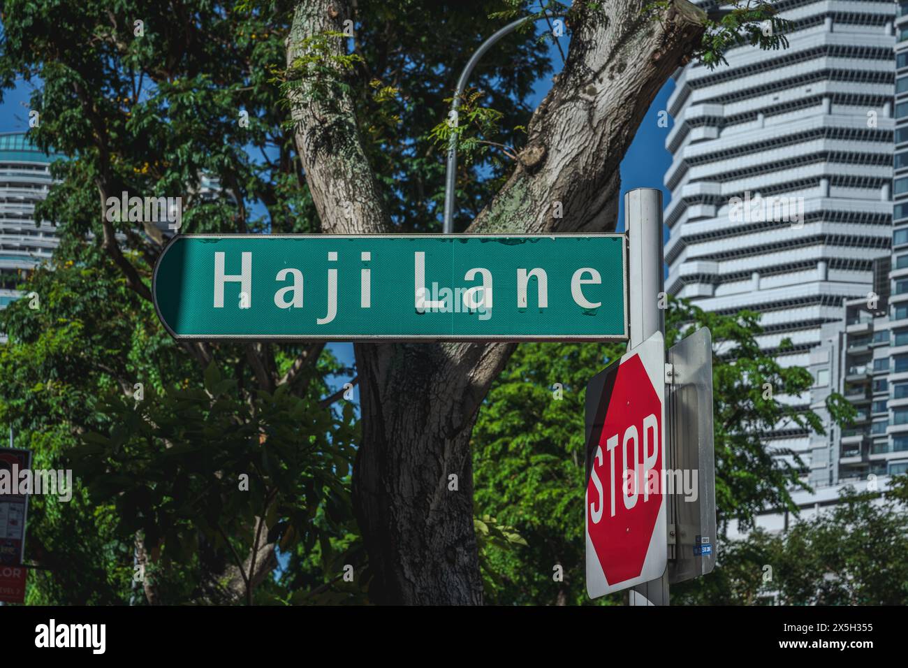 Street view of a Haji Lane signboard alongside a stop sign, set against ...