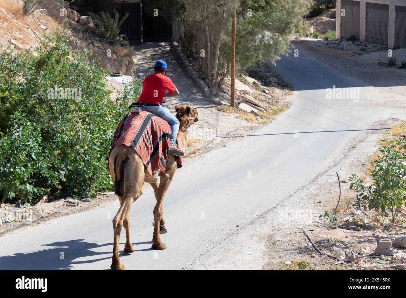 Arab boy camel in desert hi-res stock photography and images - Alamy