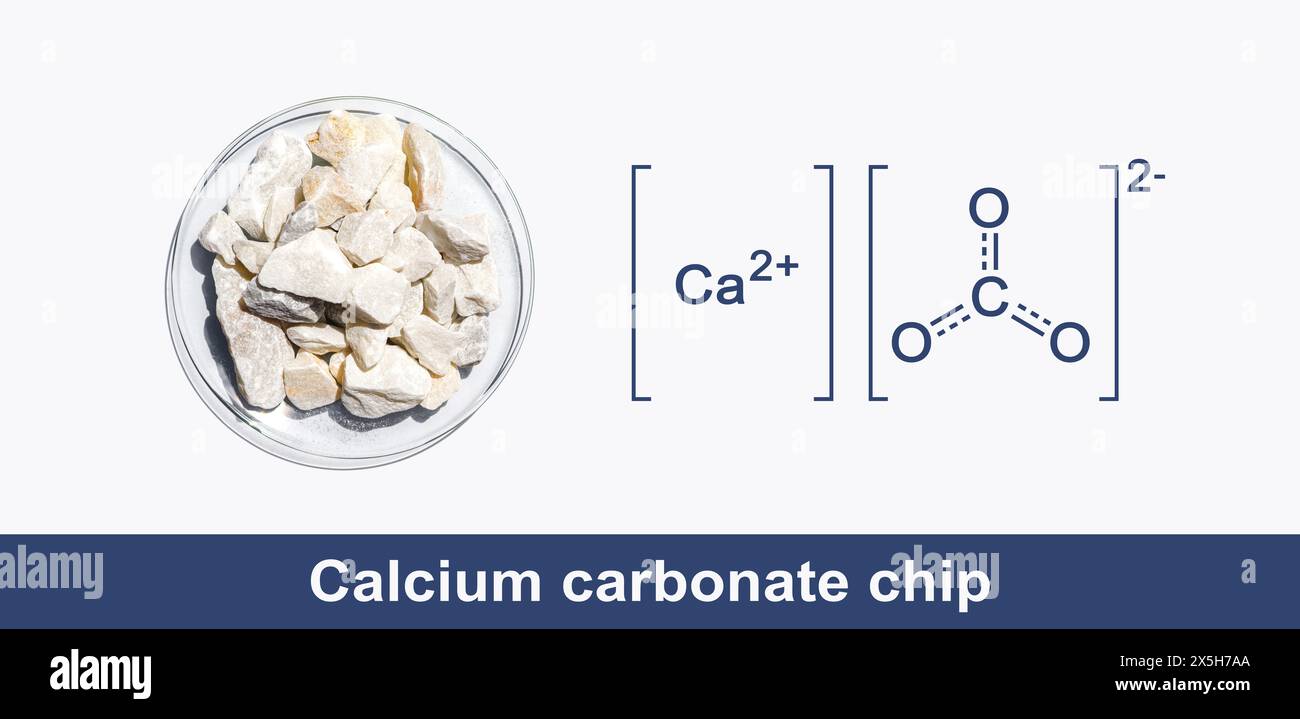 Calcium carbonate chip in chemical watch glass with molecular structure ...