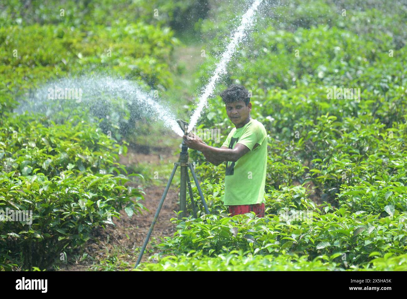 Indian irrigation system hi-res stock photography and images - Alamy