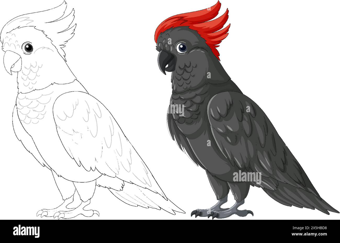 Vector illustration of two cockatoos, one colorful Stock Vector Image ...