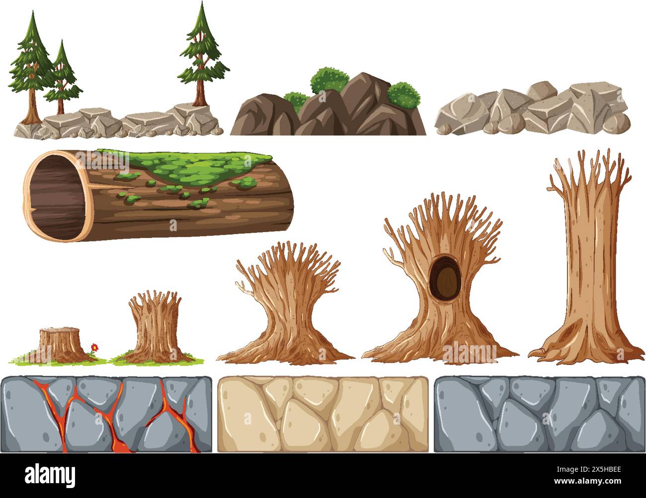 Soil cross section tree roots hi-res stock photography and images - Alamy