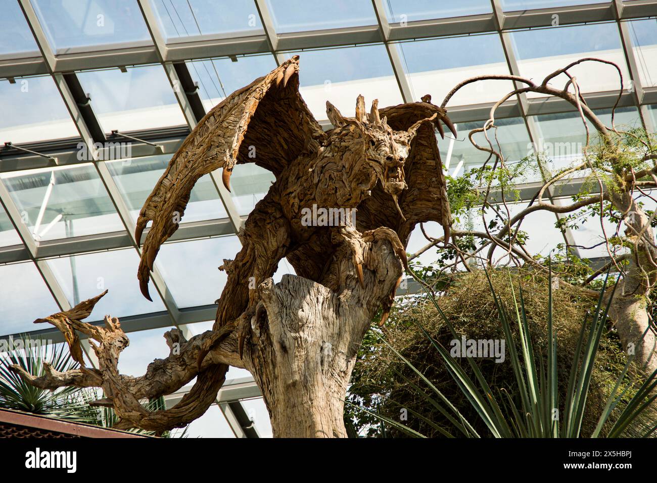Dragon looking down from tree top in Singapore Stock Photo - Alamy