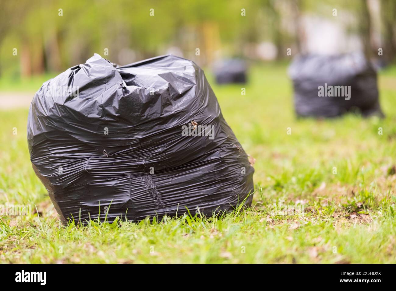 Black plastic bags with tree leaves. There are large black plastic ...