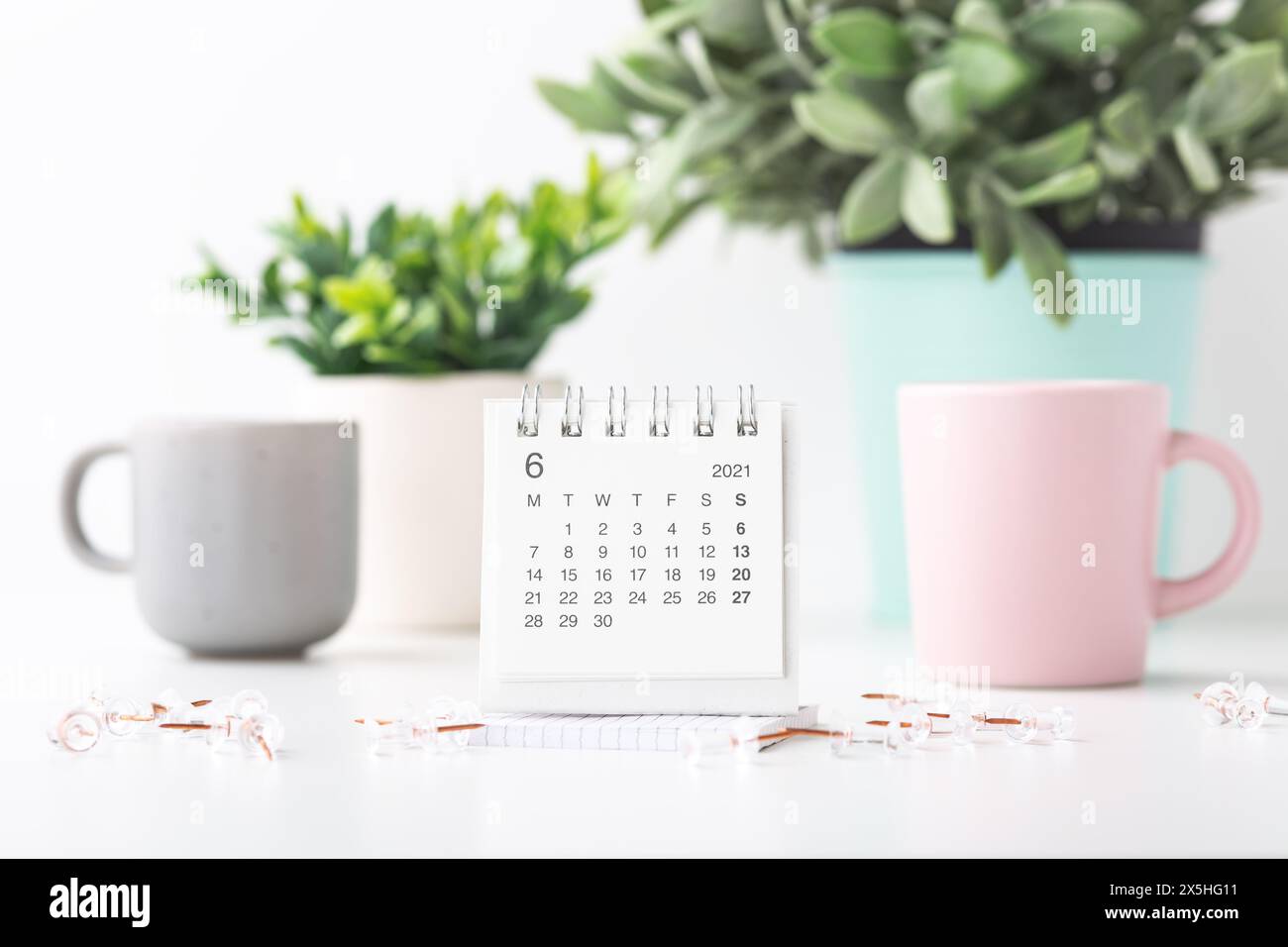 Calendar and pins with pastel mugs and plant in pots on white ...