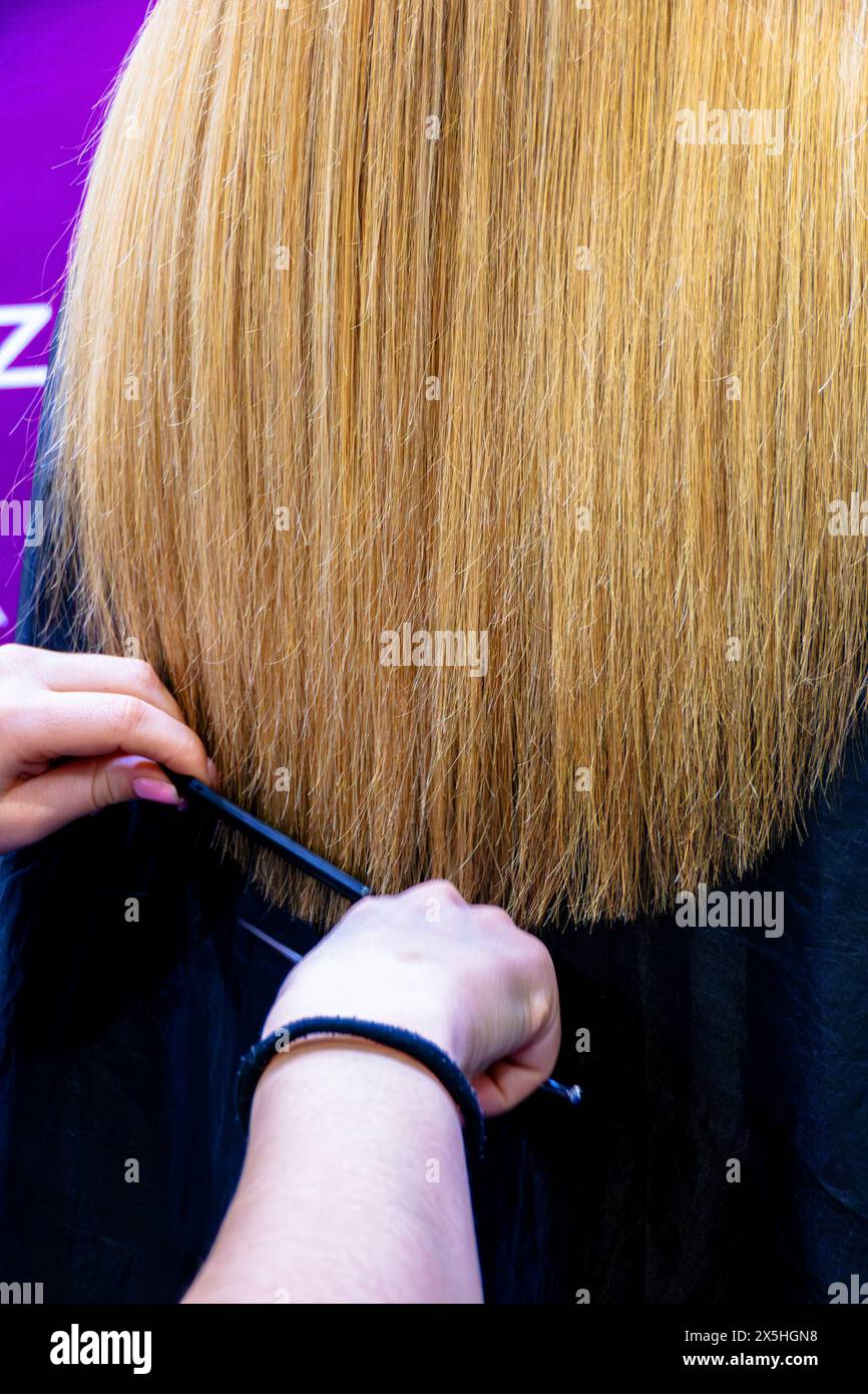 A hairdresser straightens the long hair of a fair-haired girl, trimming ...