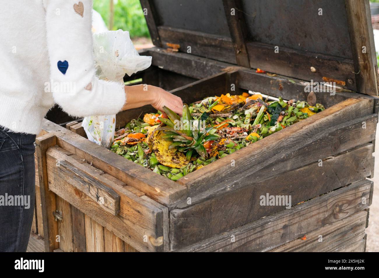 Composter with decomposing fruits and vegetables Stock Photo - Alamy
