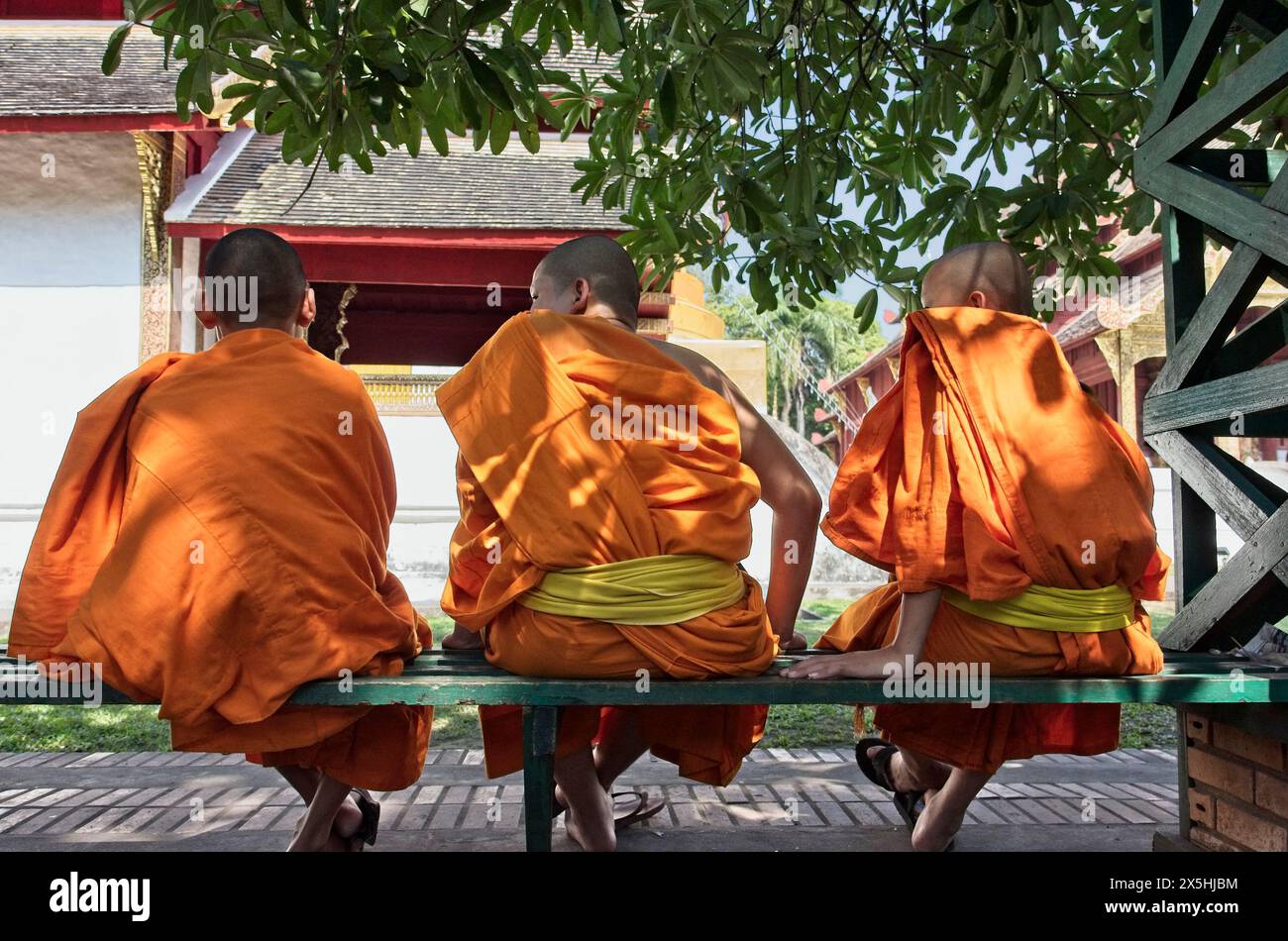 Thailand, Chiang Mai, young Buddhist monks relax on a bench Stock Photo ...