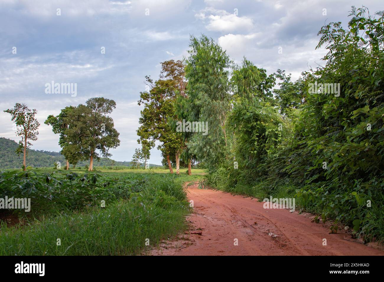 Gravel lanes in rural areas hi-res stock photography and images - Alamy