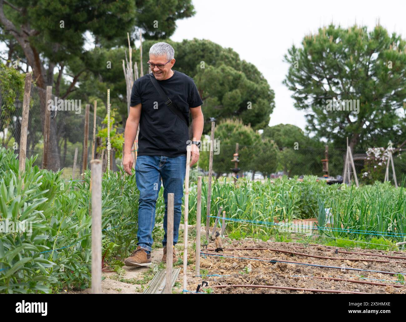 Mature man walking through a community garden Stock Photo - Alamy