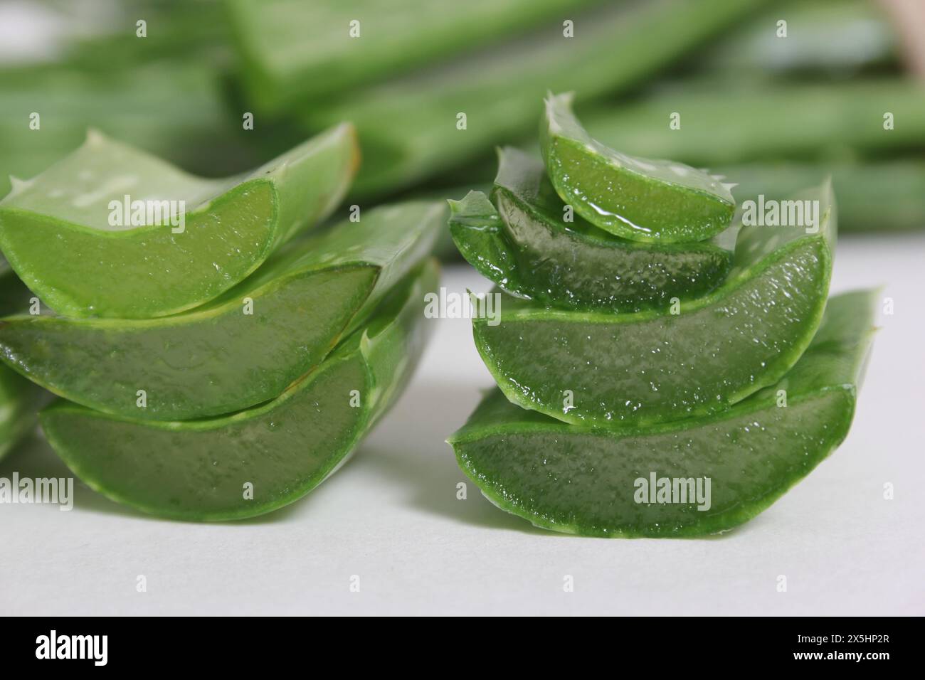 Fresh Raw Aloe Vera Leaves on Table After Harvest. Sliced and ready to ...