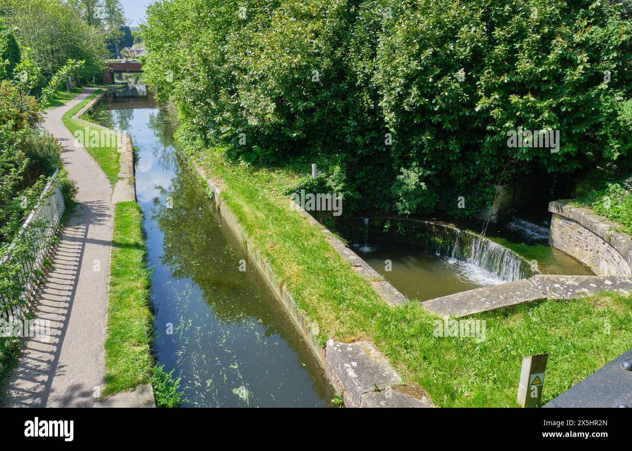 The Lledan Brook flowing under the Montgomery Canal, Welshpool, Powys ...