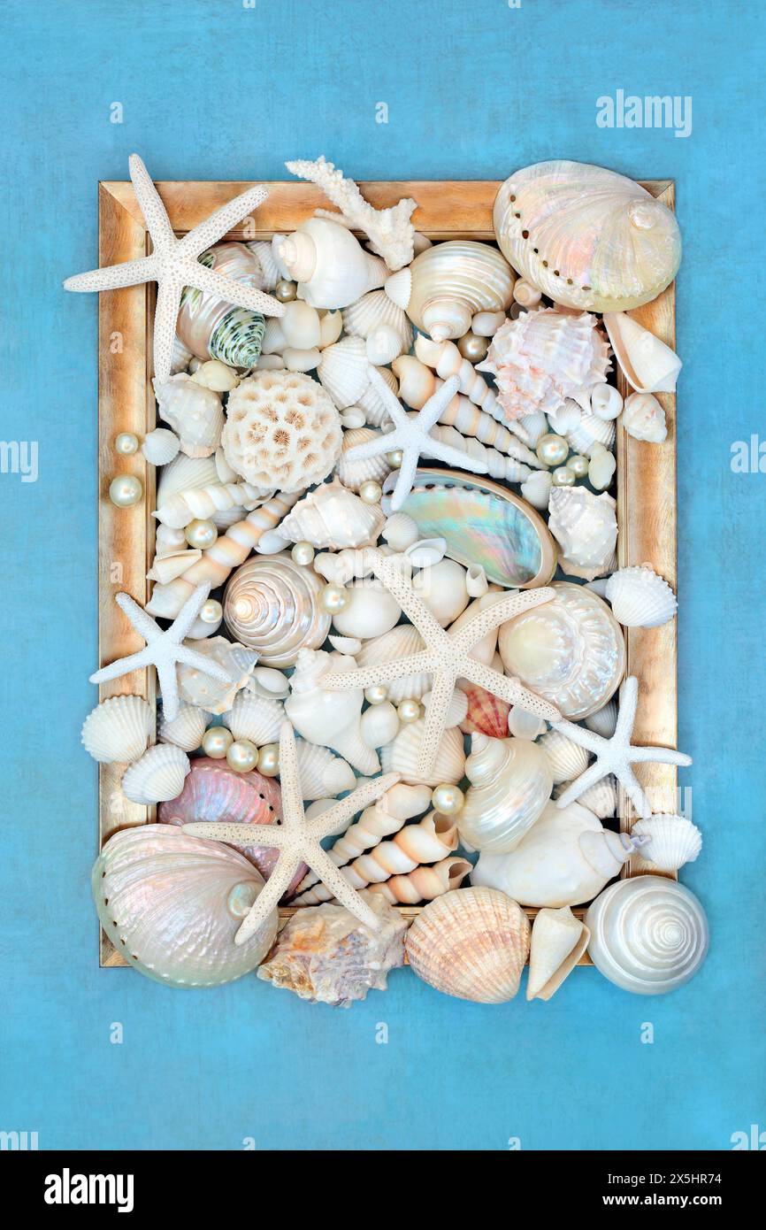 Seashell and pearl decorative abstract background with gold grunge ...