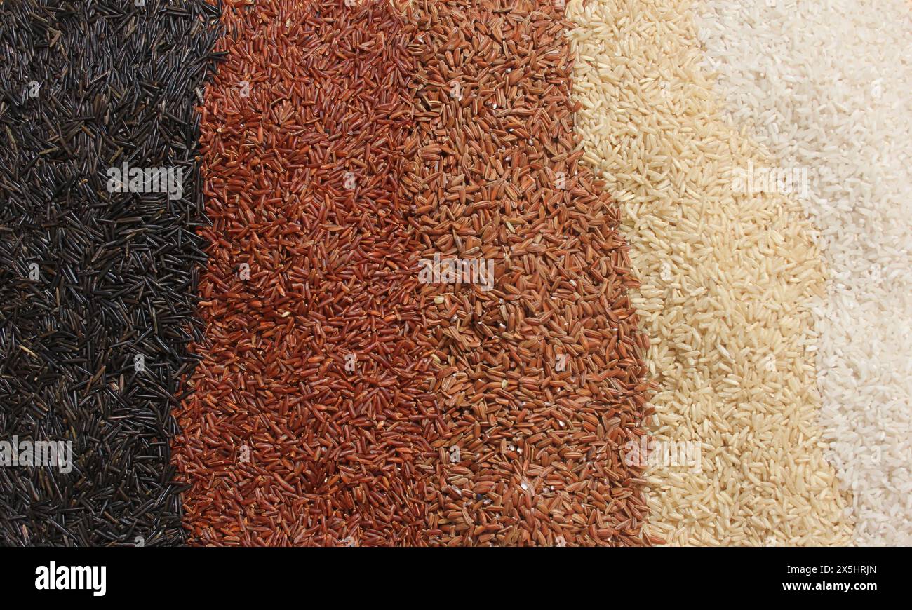 Different Rice Varieties in Rustic Kitchen. Wild Rice With Brown Rice ...
