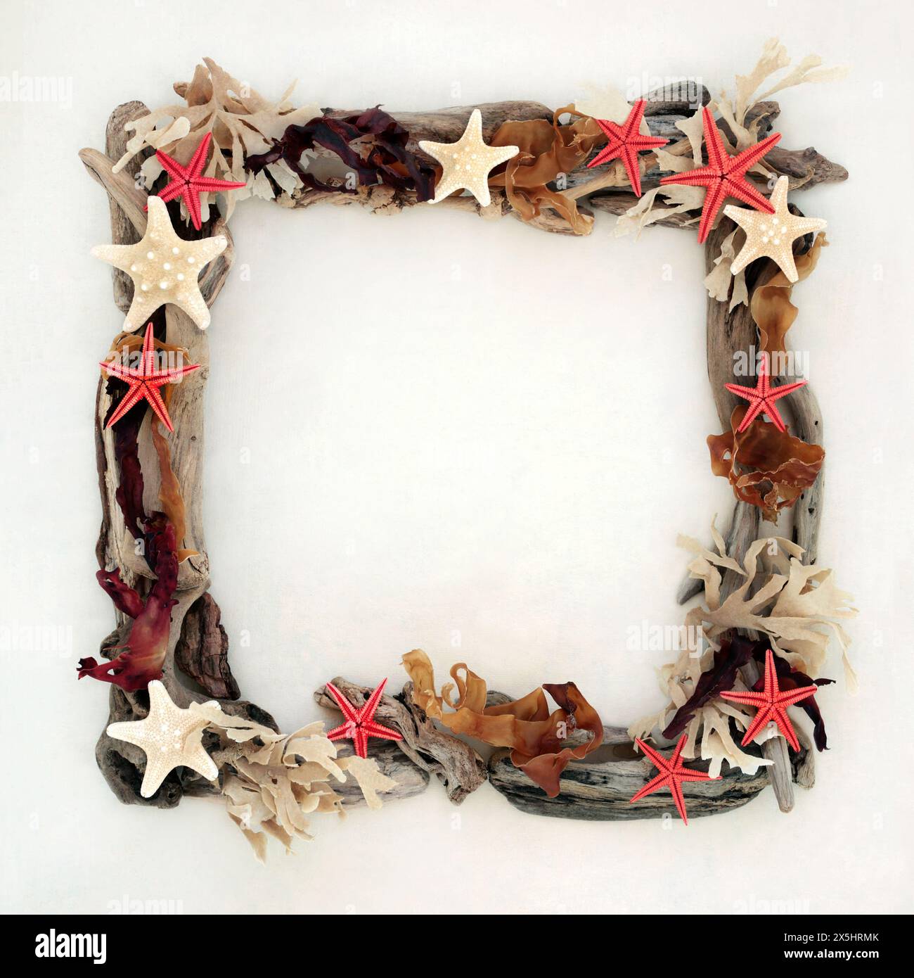 Starfish seashells, seaweed and driftwood heart shape wreath abstract ...