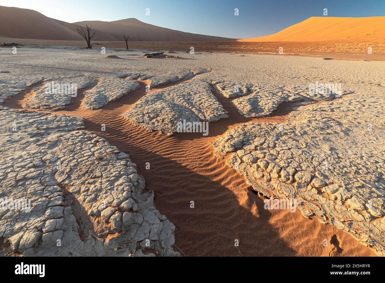 Dry mud on the sand dunes, Namib Desert Stock Photo - Alamy