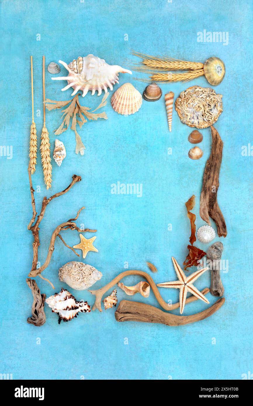 Nature natural objects background border with driftwood, seashells ...