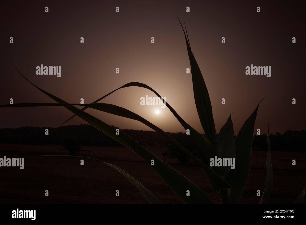 Sun rising hi-res stock photography and images - Alamy