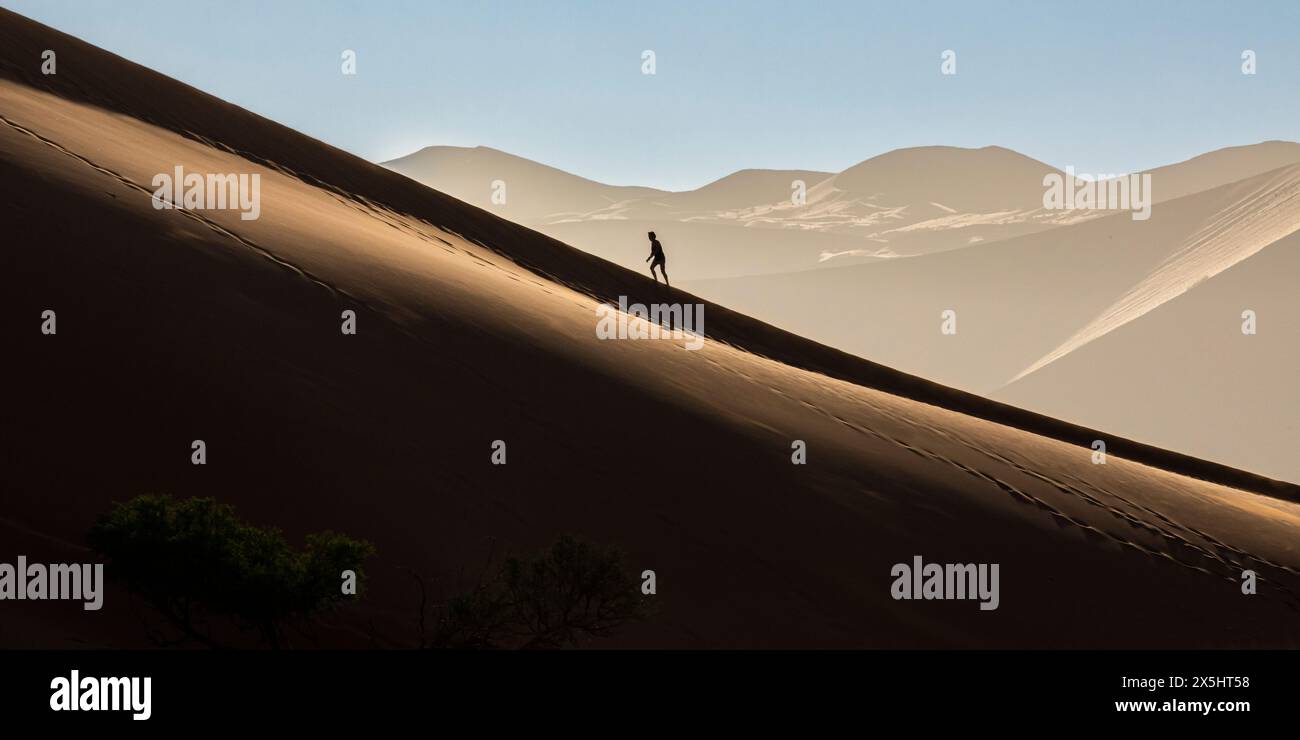 Hikers in the Namib dunes Stock Photo - Alamy