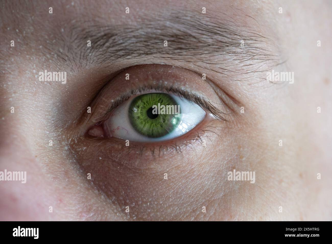 close up part male face, young man 25-30 years old, human eye looking ...
