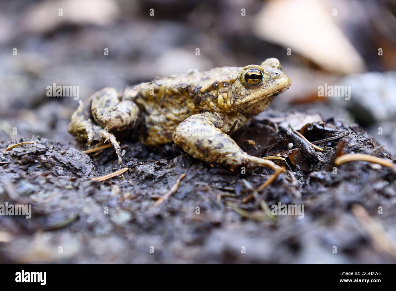 Symbolfotos hi-res stock photography and images - Alamy