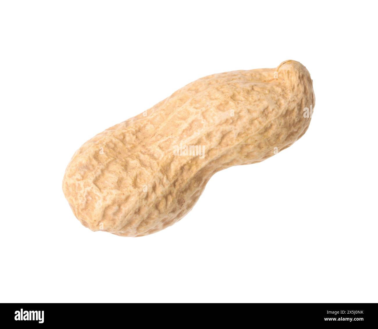 One fresh unpeeled peanut isolated on white Stock Photo - Alamy
