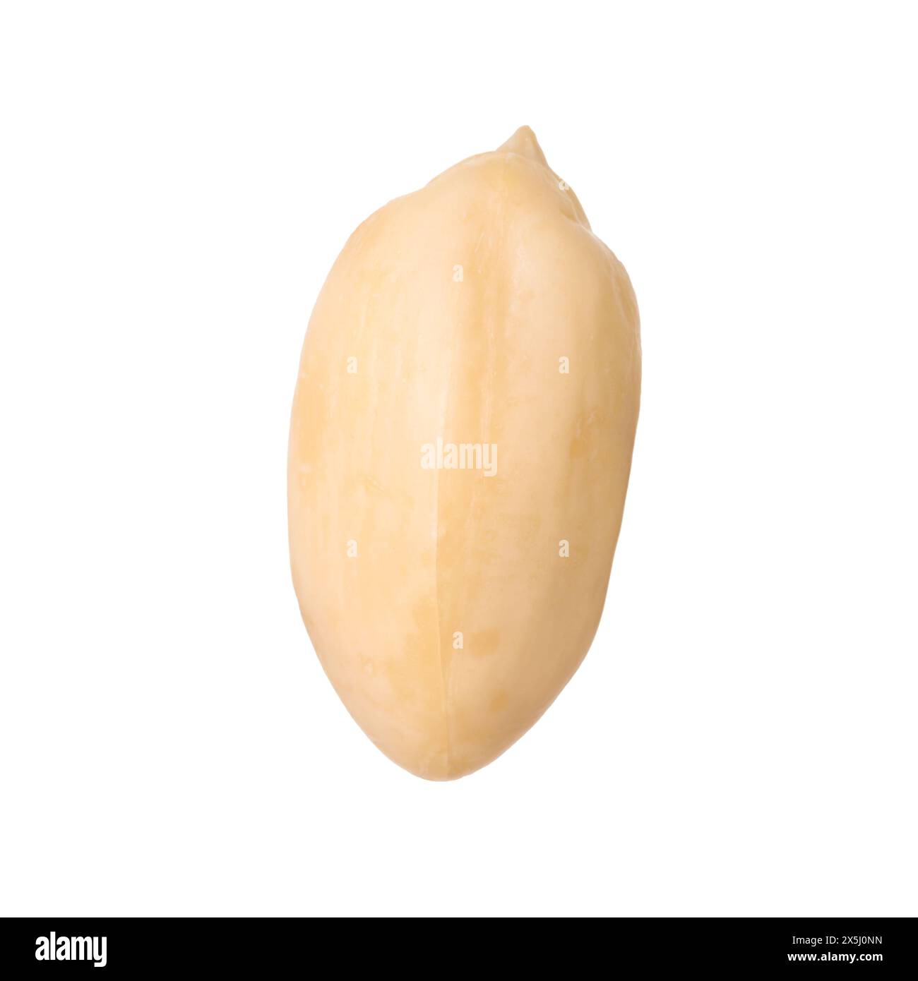 One fresh peeled peanut isolated on white Stock Photo - Alamy