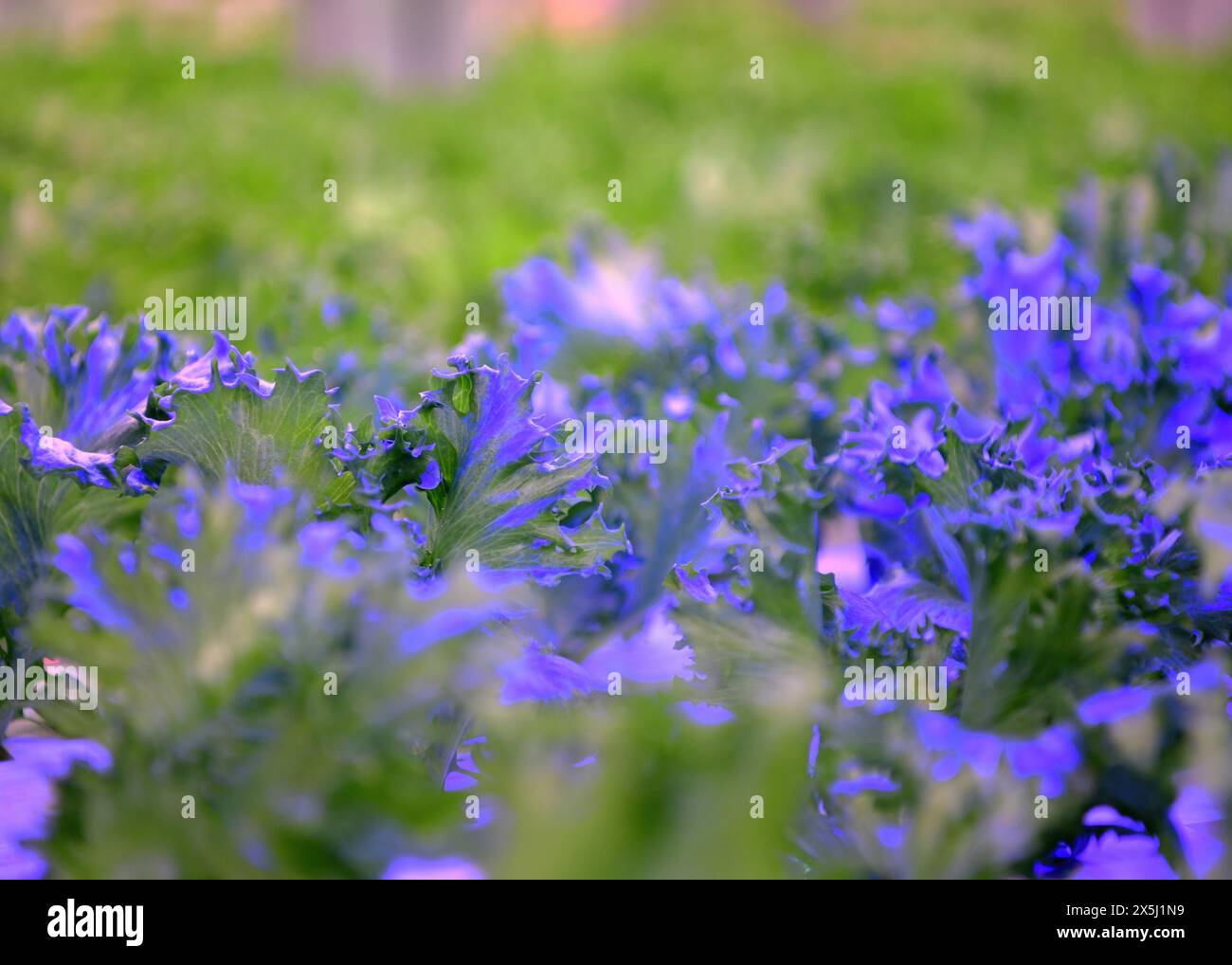 (240510) -- QUANZHOU, May 10, 2024 (Xinhua) -- This photo taken on May ...