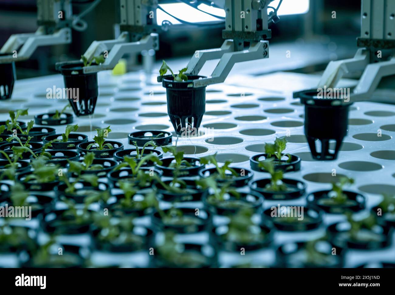 (240510) -- QUANZHOU, May 10, 2024 (Xinhua) -- Intelligent robots work ...