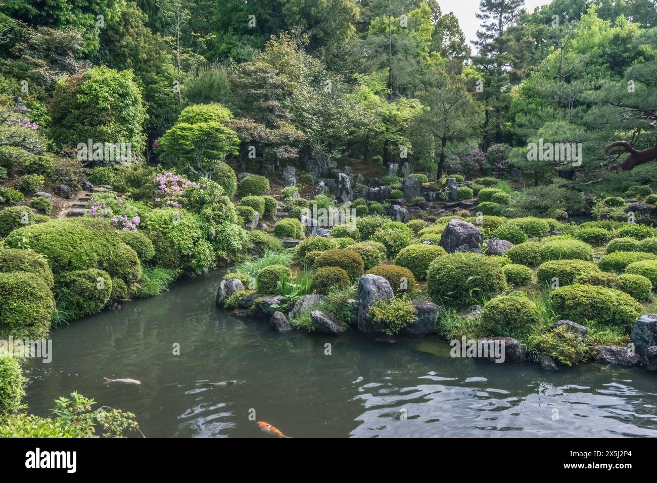 Toji temple kyoto spring hi-res stock photography and images - Alamy