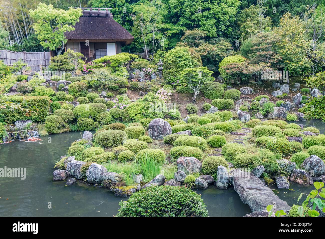 Toji temple kyoto spring hi-res stock photography and images - Alamy