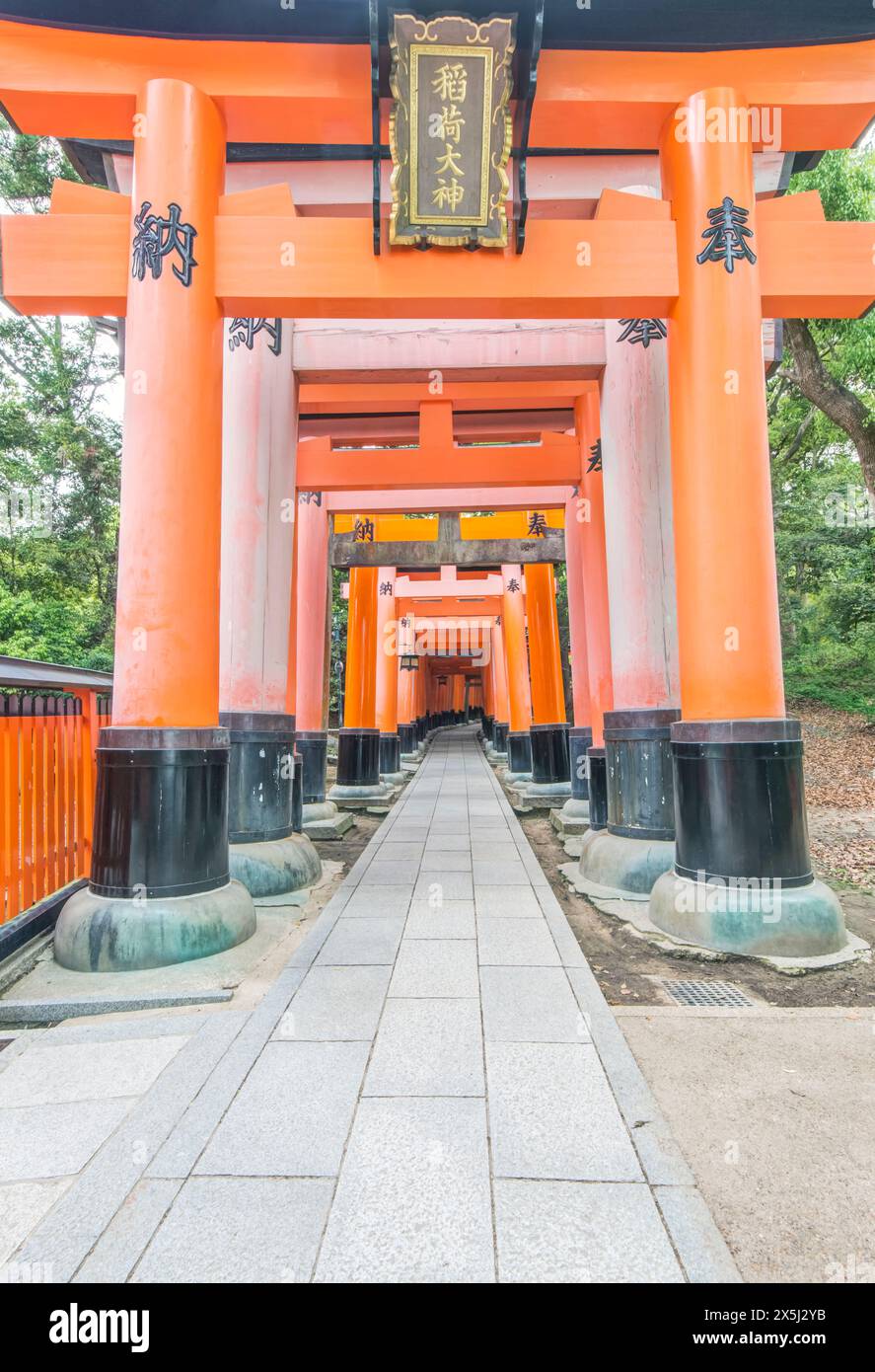 Japan, Kyoto. Fushimi Inari Grand Shrine, One Thousand Gates Stock ...